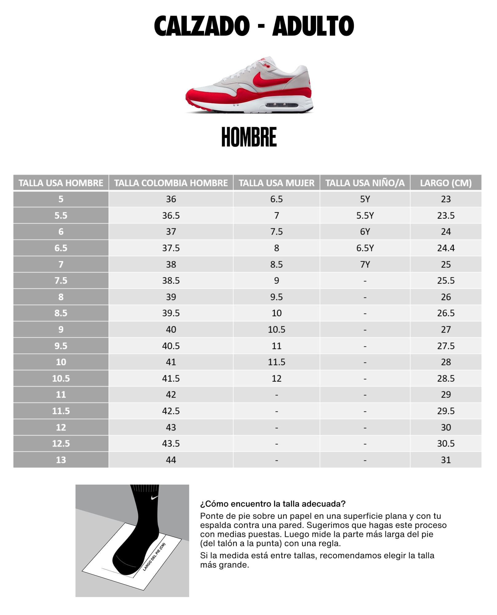 Tenis Nike Hombre Promina FV5285-300 - Agaval