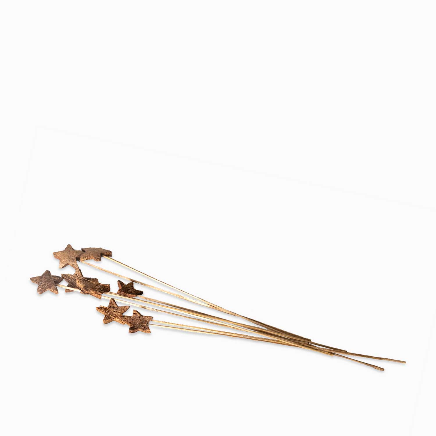 Racimo estrella coco dorada - Agaval